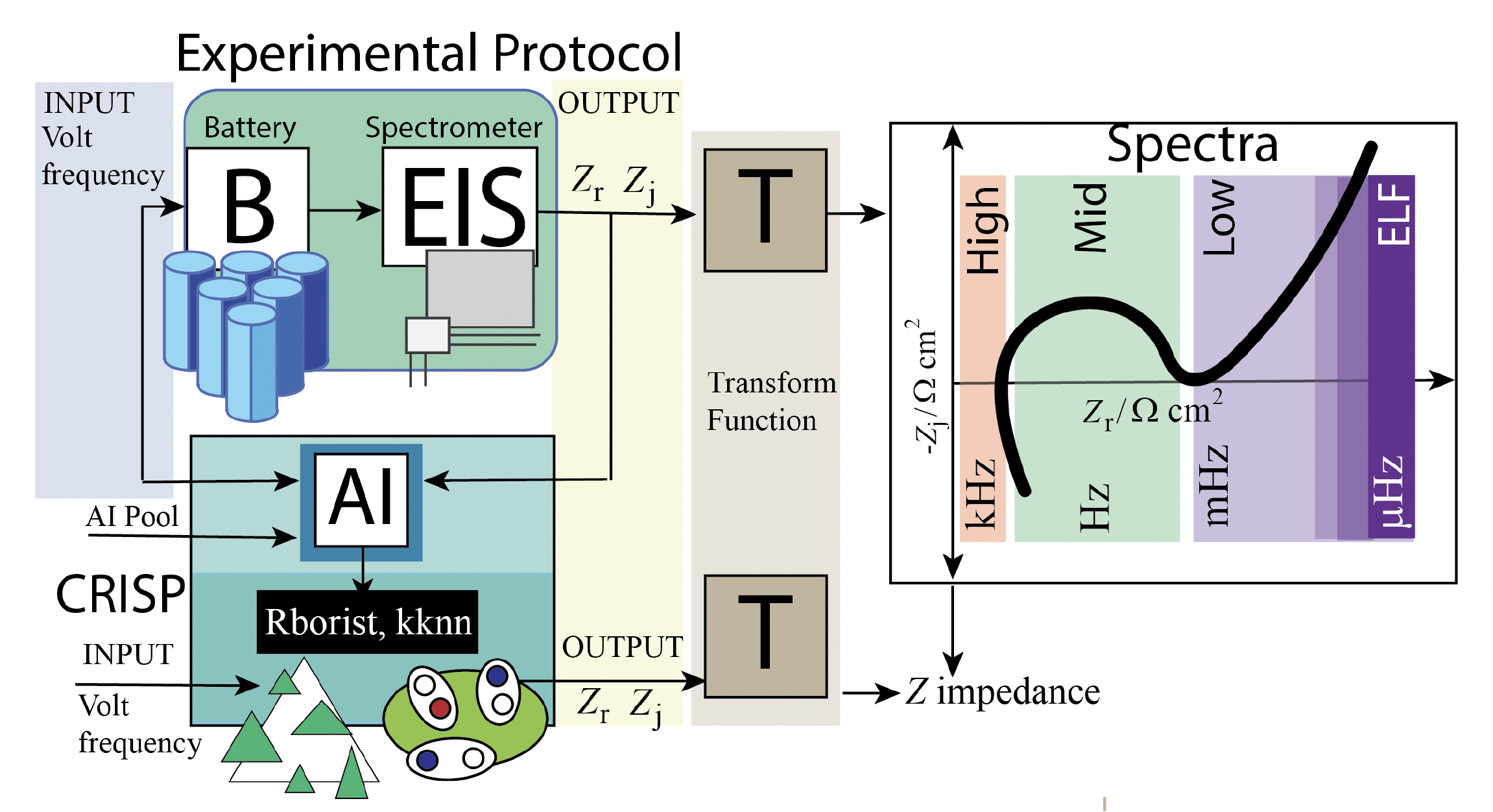Impedance Spectroscopy | Hasan Kurban, Ph.D.